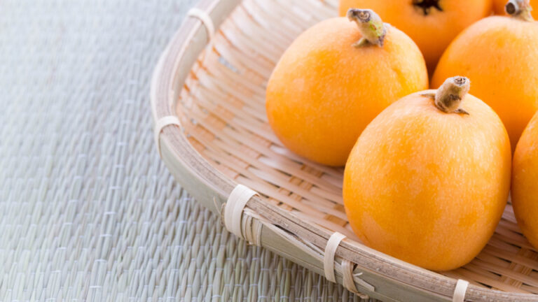 【長崎のびわ】一粒ずつ袋がけ…驚きの手間に感動！ 5月のフルーツ 果物語（くだものがたり）